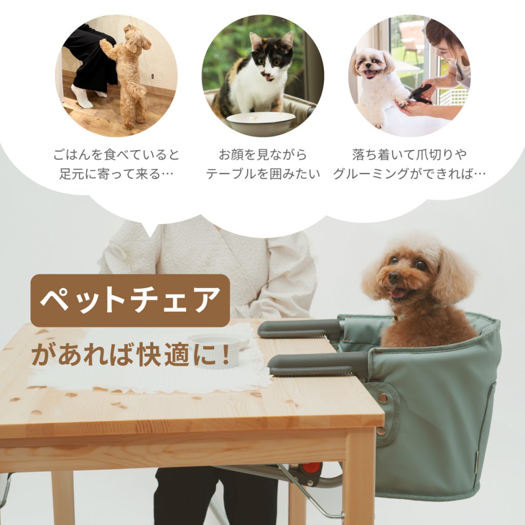 MOGUチェア（もぐチェア）| ペット用テーブルチェア - KISSBABY